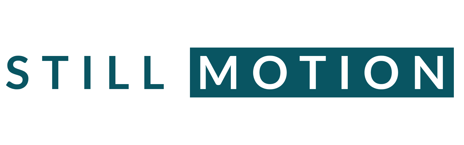 Still Motion Workshop 2025